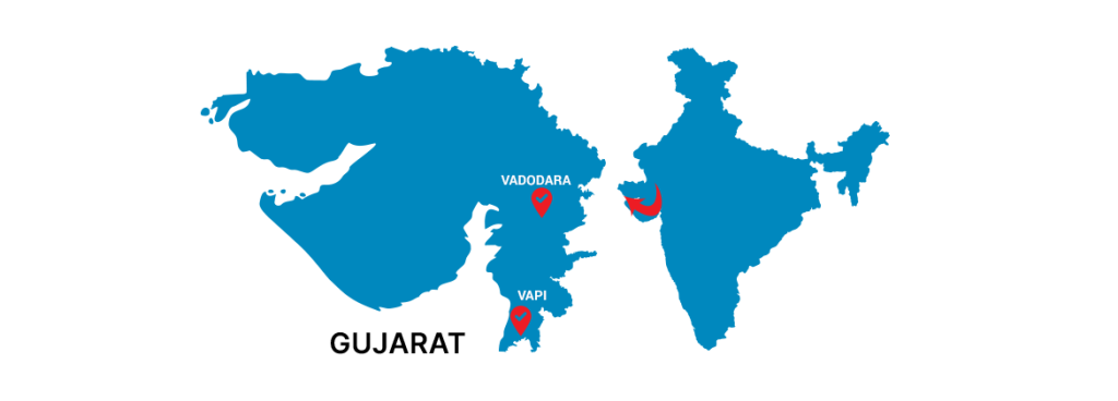 Top 10 Pharma Companies In Vapi - Gynogen